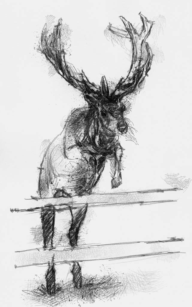 10 Lords leaping | SeanBriggs