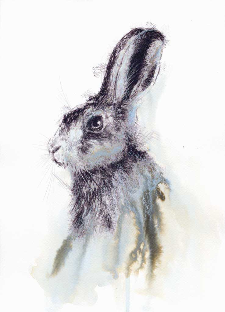 Hare | SeanBriggs