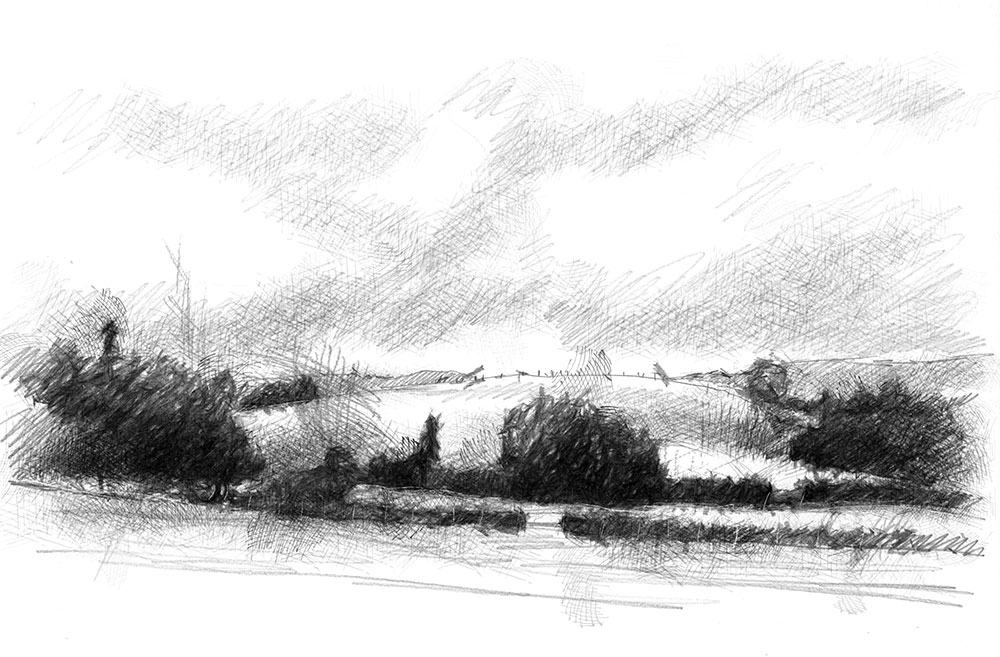 Meadows | SeanBriggs