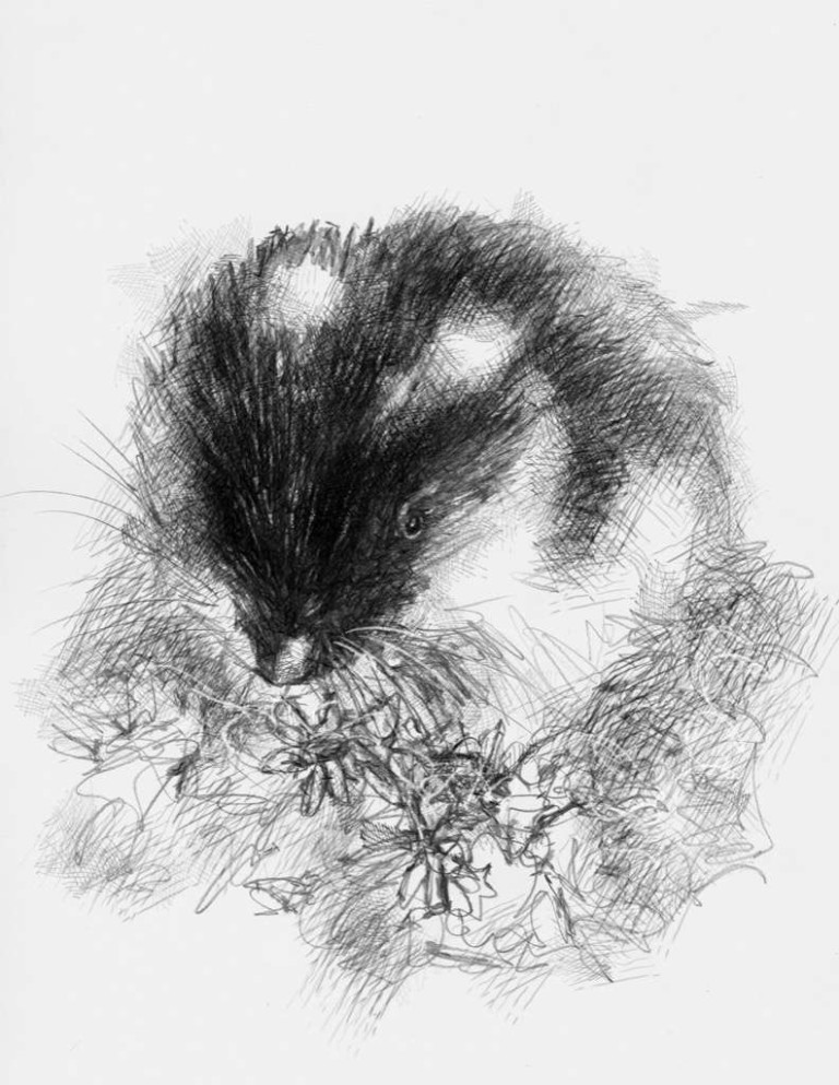 Lemming | SeanBriggs