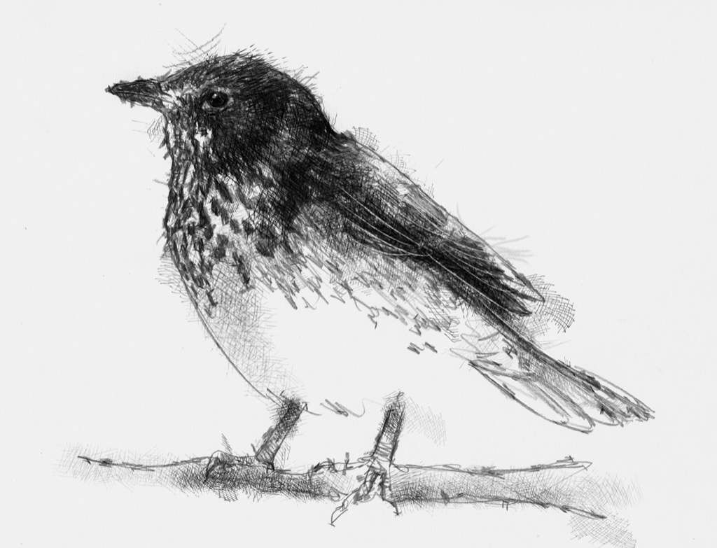 Filedfare | SeanBriggs