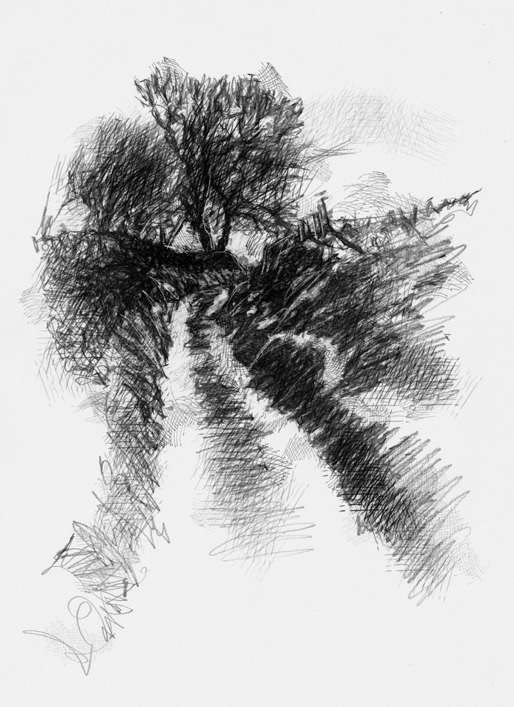 Old lane | SeanBriggs