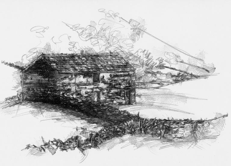 Yorkshire farm | SeanBriggs