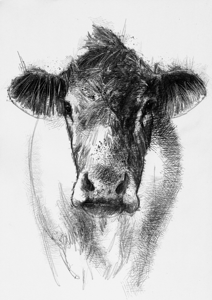 How now brown cow | SeanBriggs