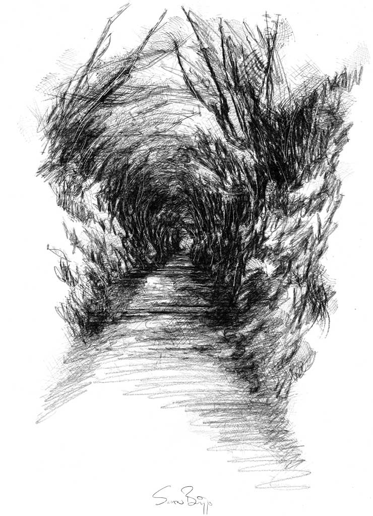 Country lane | SeanBriggs