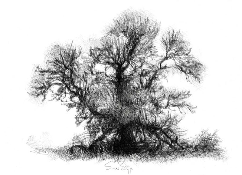 Spreading tree | SeanBriggs