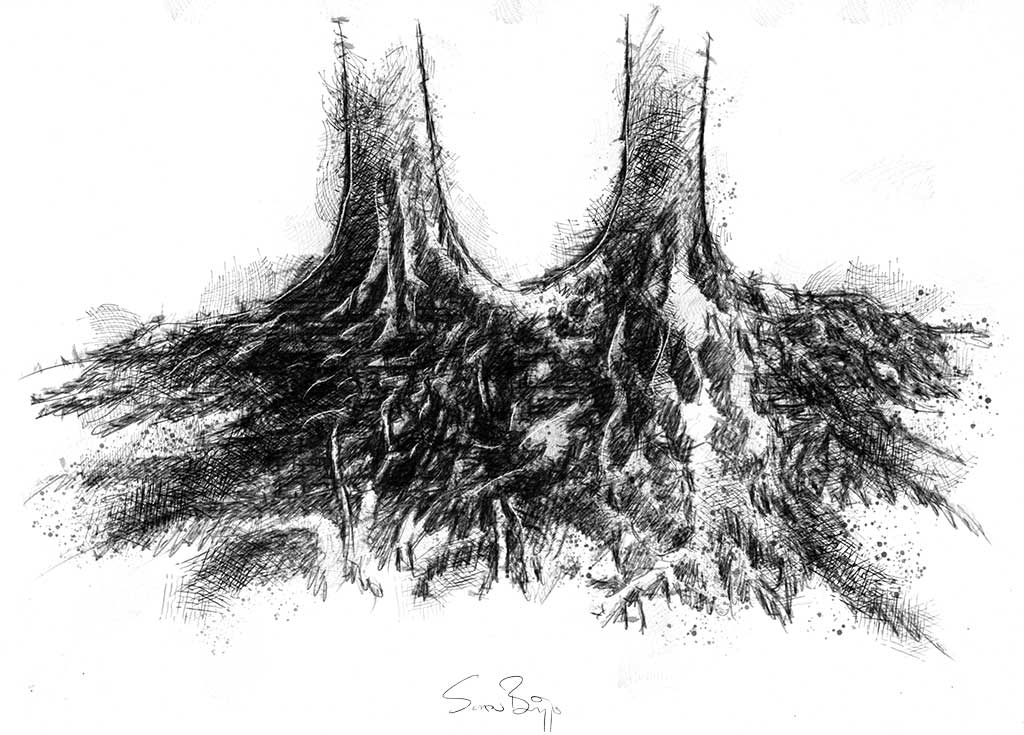 Tree roots | SeanBriggs