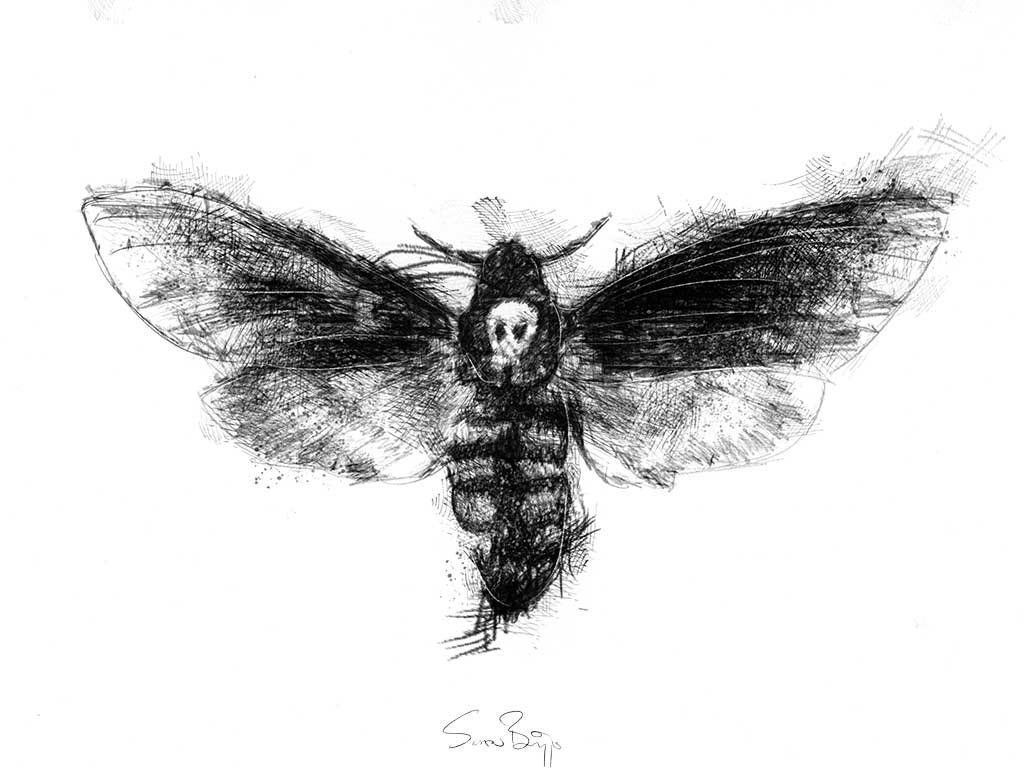 Deaths head | SeanBriggs