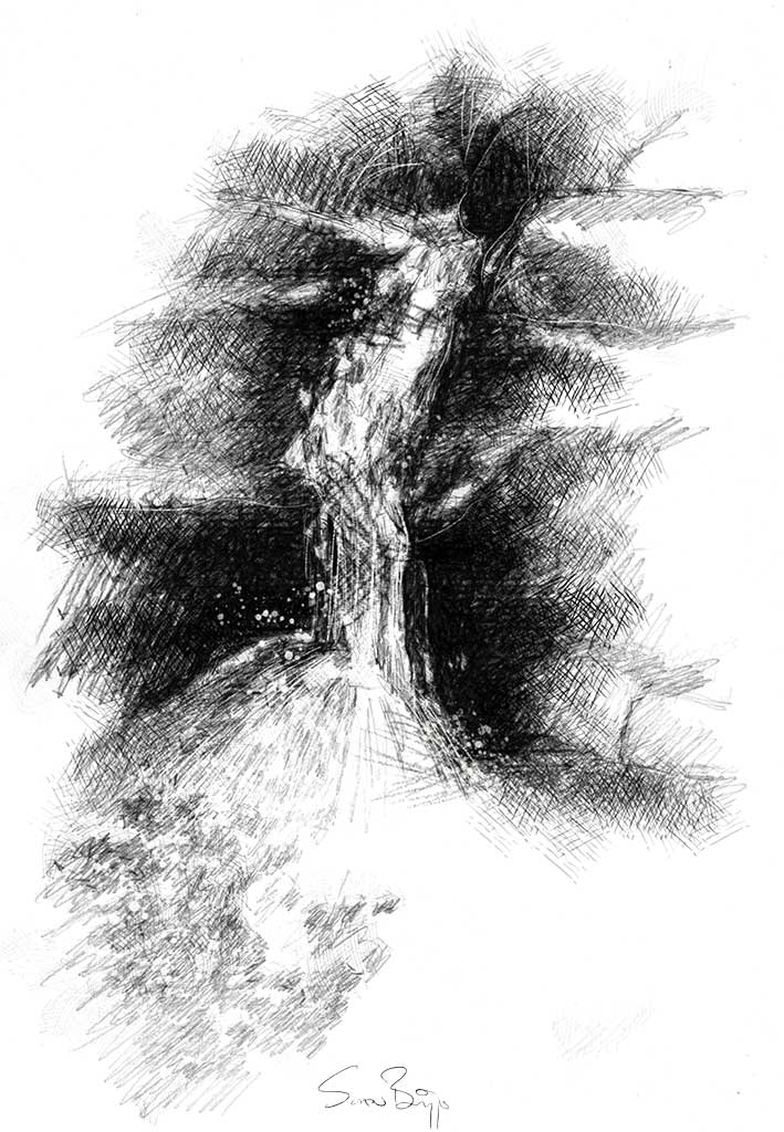 Water Stream Sketch