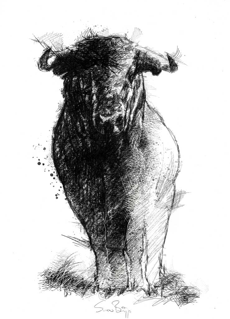 Bull | SeanBriggs