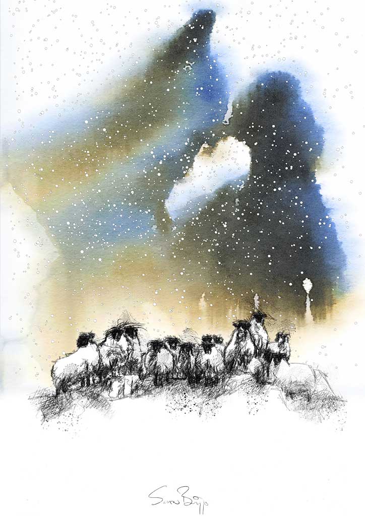 First snow | SeanBriggs