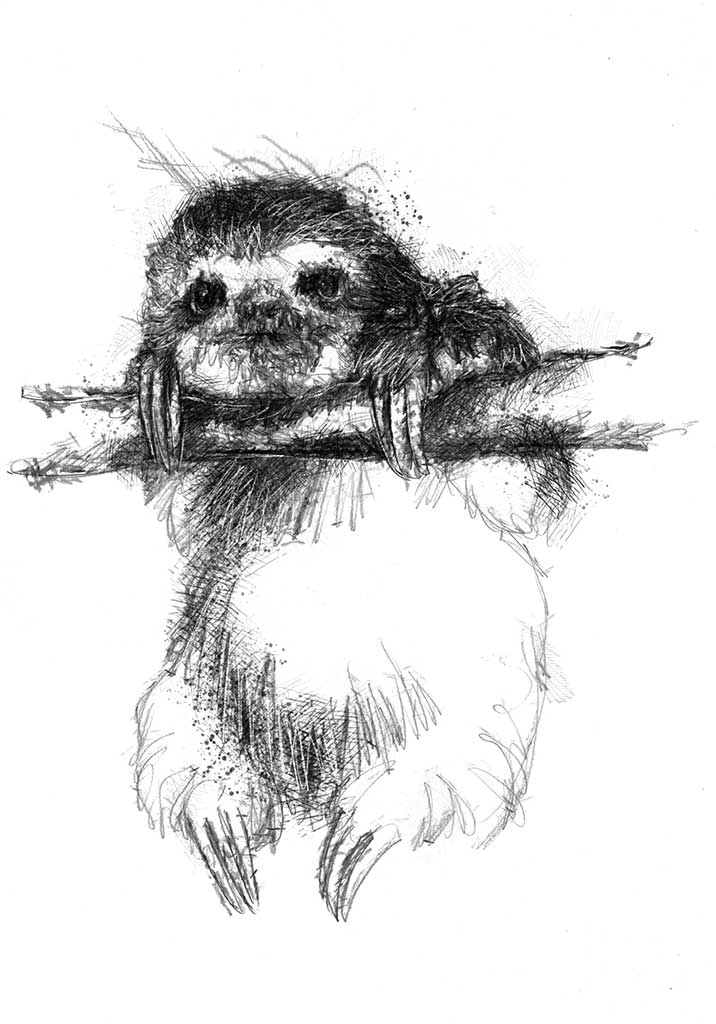 Sloth | SeanBriggs