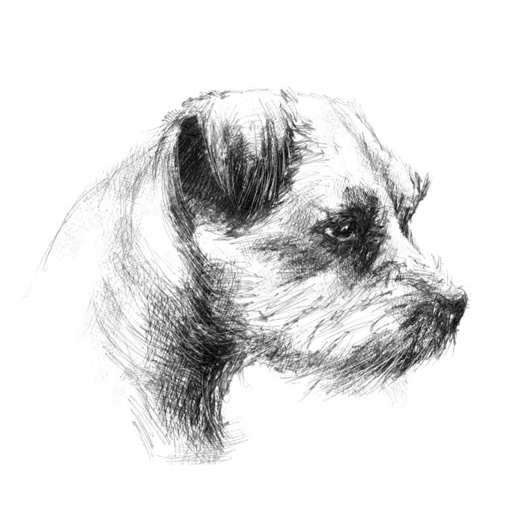 Original Terrier sketch | SeanBriggs