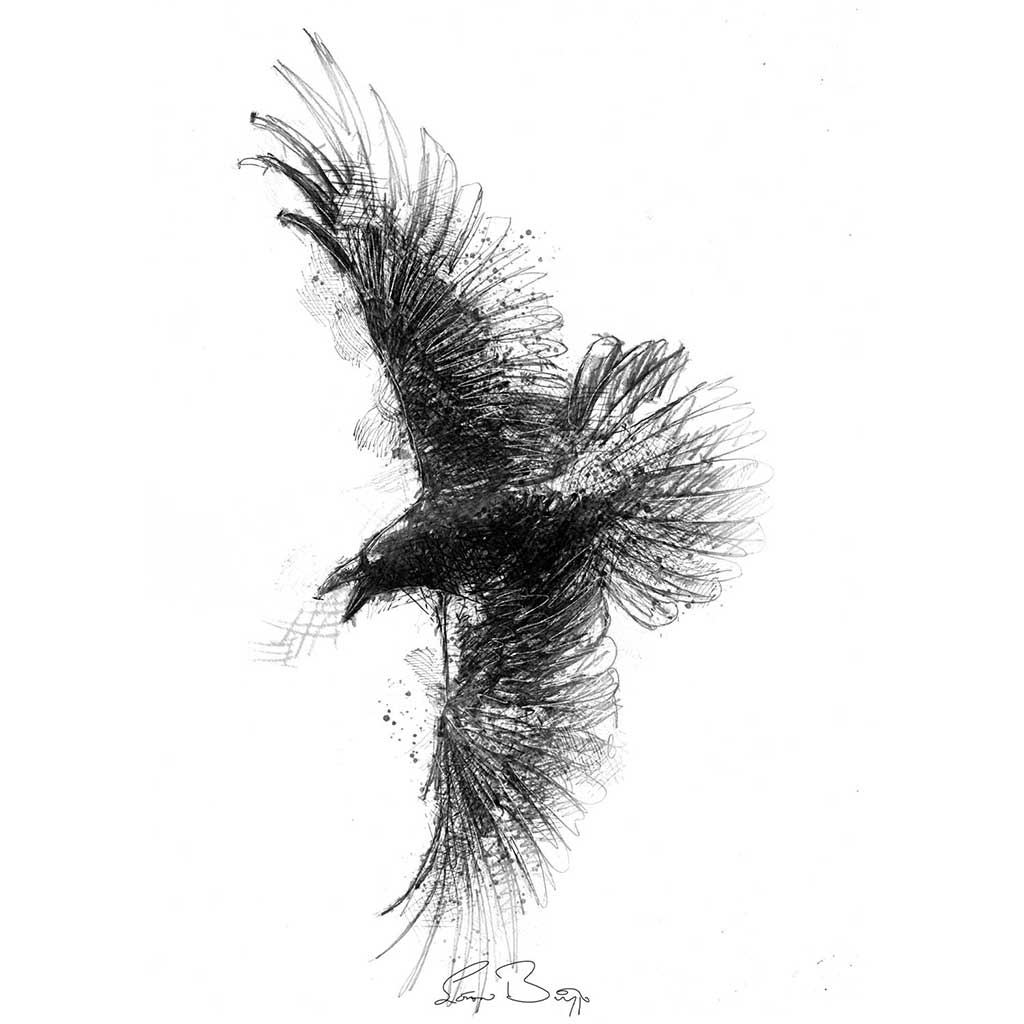 Crow flight sketch | SeanBriggs