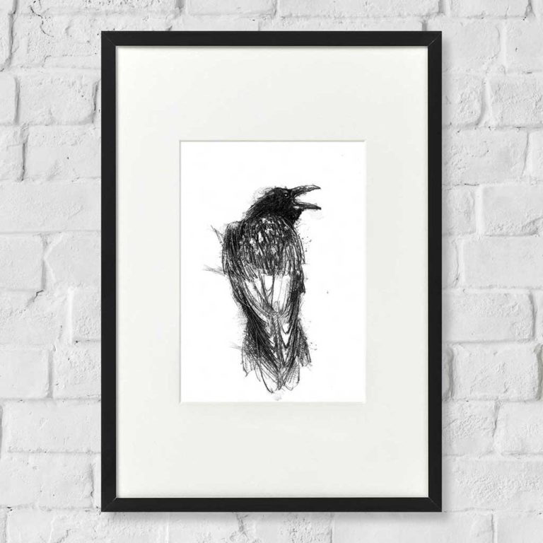 Carrion crow sketch | SeanBriggs