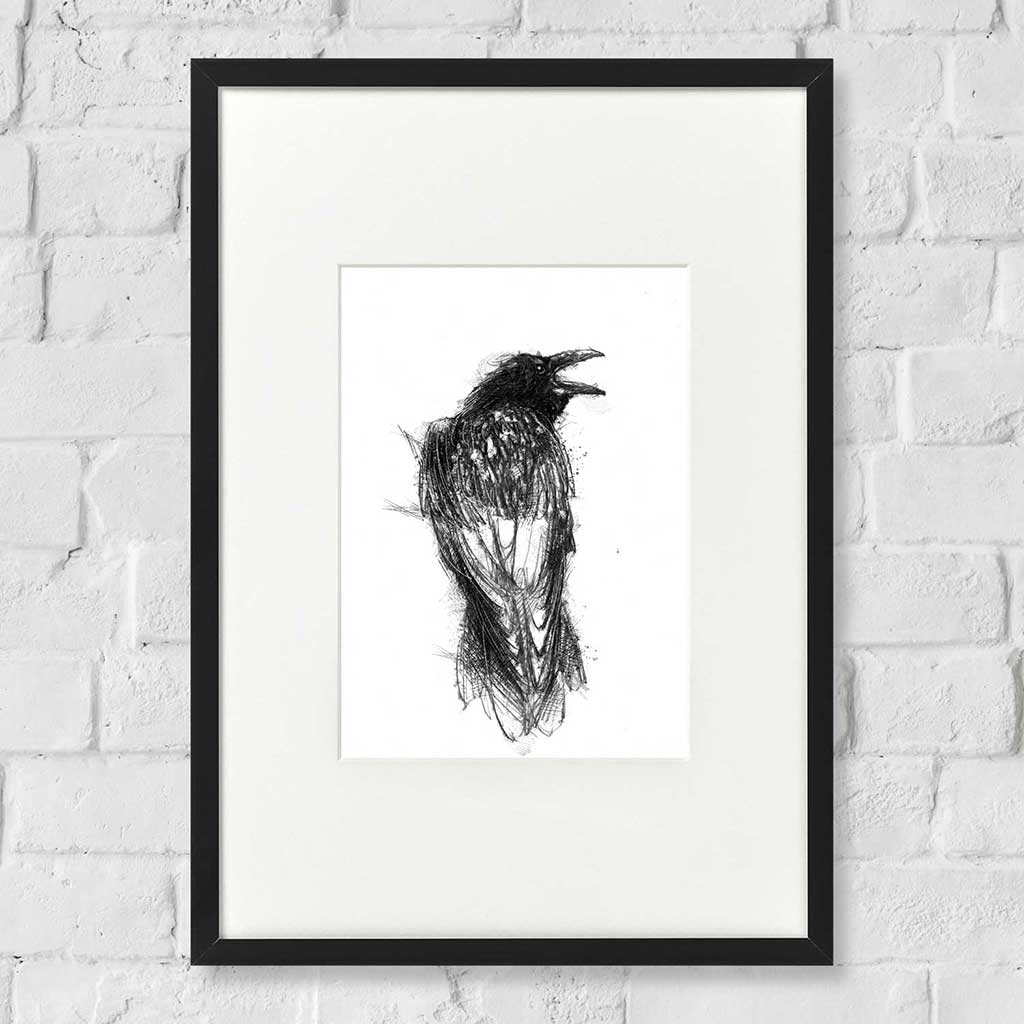 Carrion crow sketch | SeanBriggs