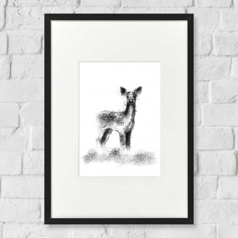 Fallow deer sketch | SeanBriggs