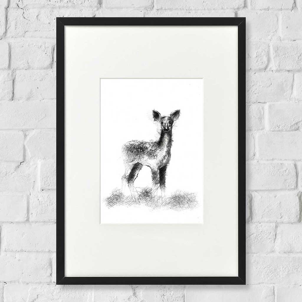 Fallow deer sketch | SeanBriggs