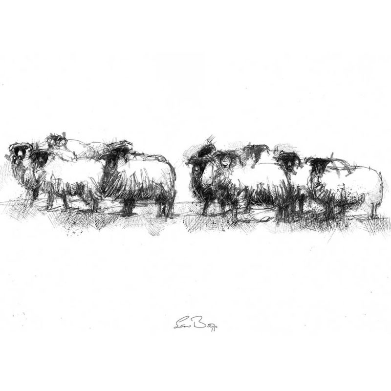 Sheep flock sketch | SeanBriggs