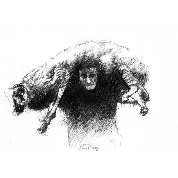 Shepherd sketch | SeanBriggs