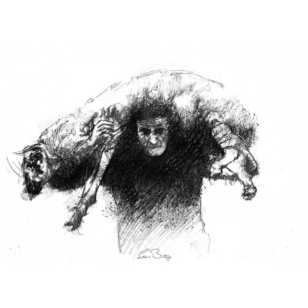 Shepherd sketch | SeanBriggs