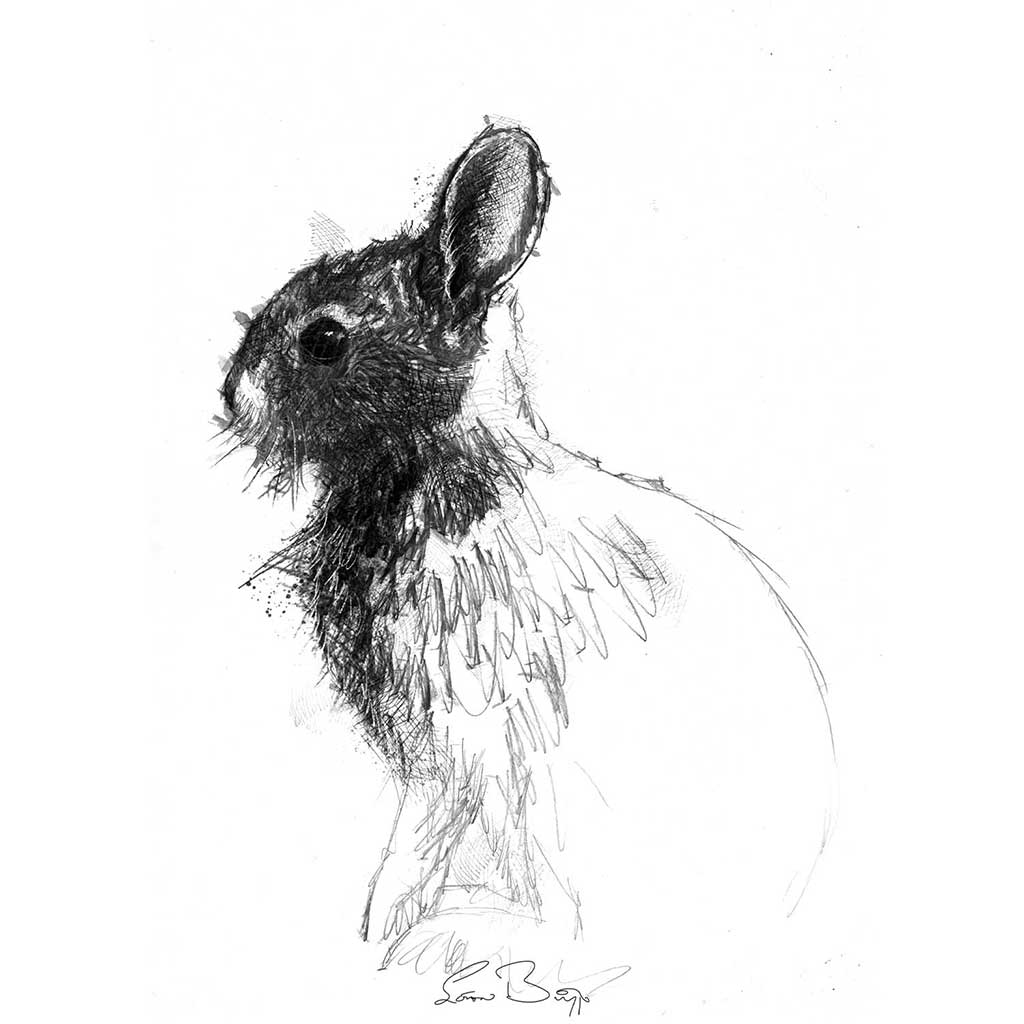 Rabbit Head Sketch