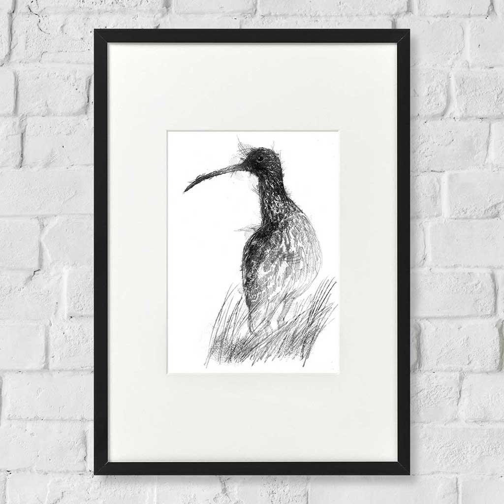 Original curlew sketch | SeanBriggs