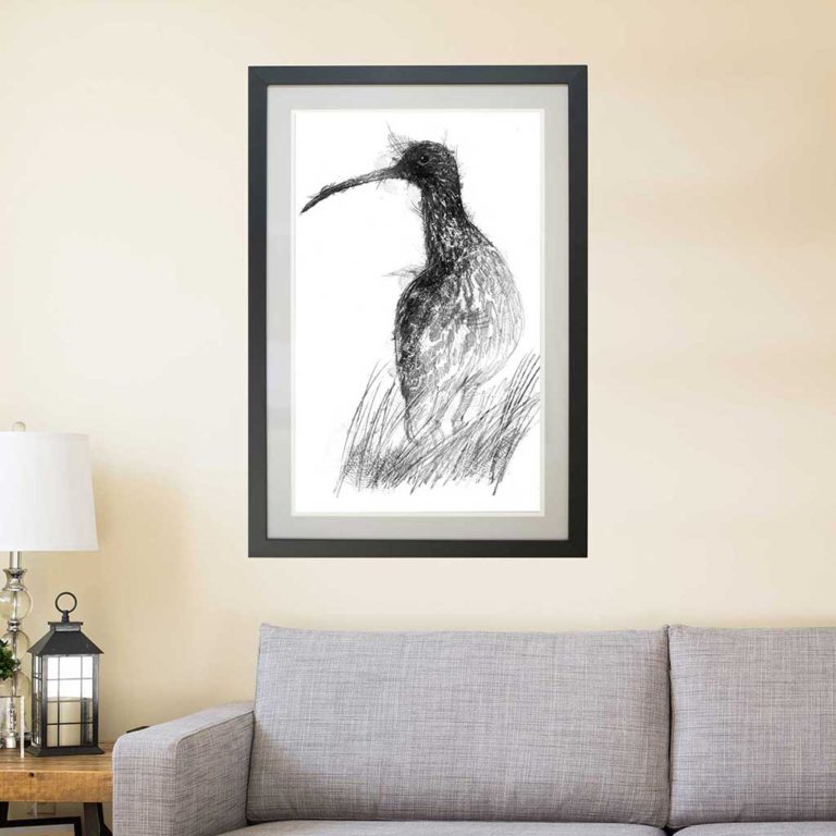 Original curlew sketch | SeanBriggs