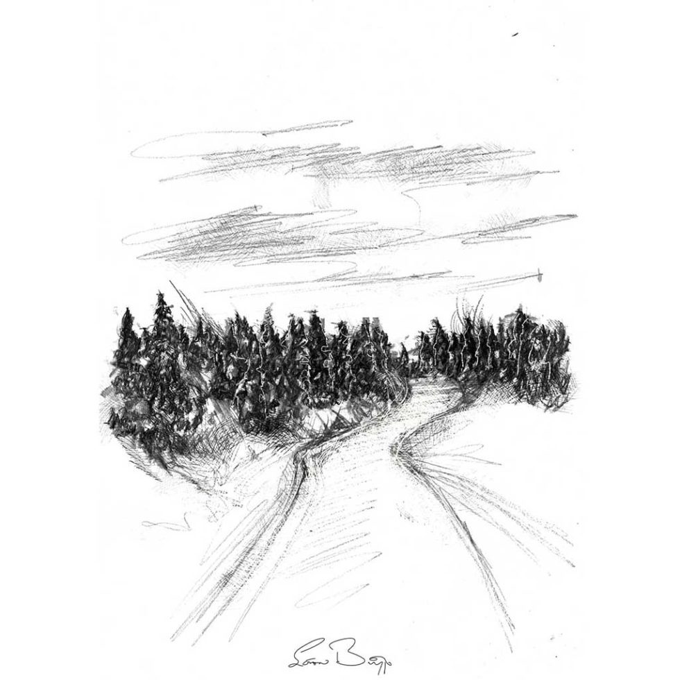 Arctic trees | SeanBriggs