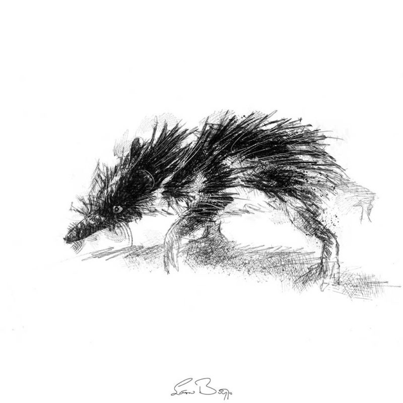 Original Tenrec sketch | SeanBriggs
