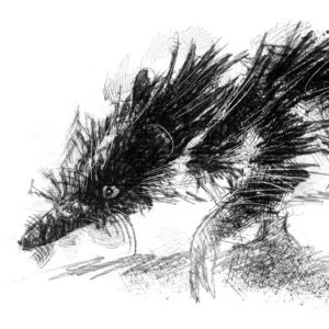 Original Tenrec sketch | SeanBriggs