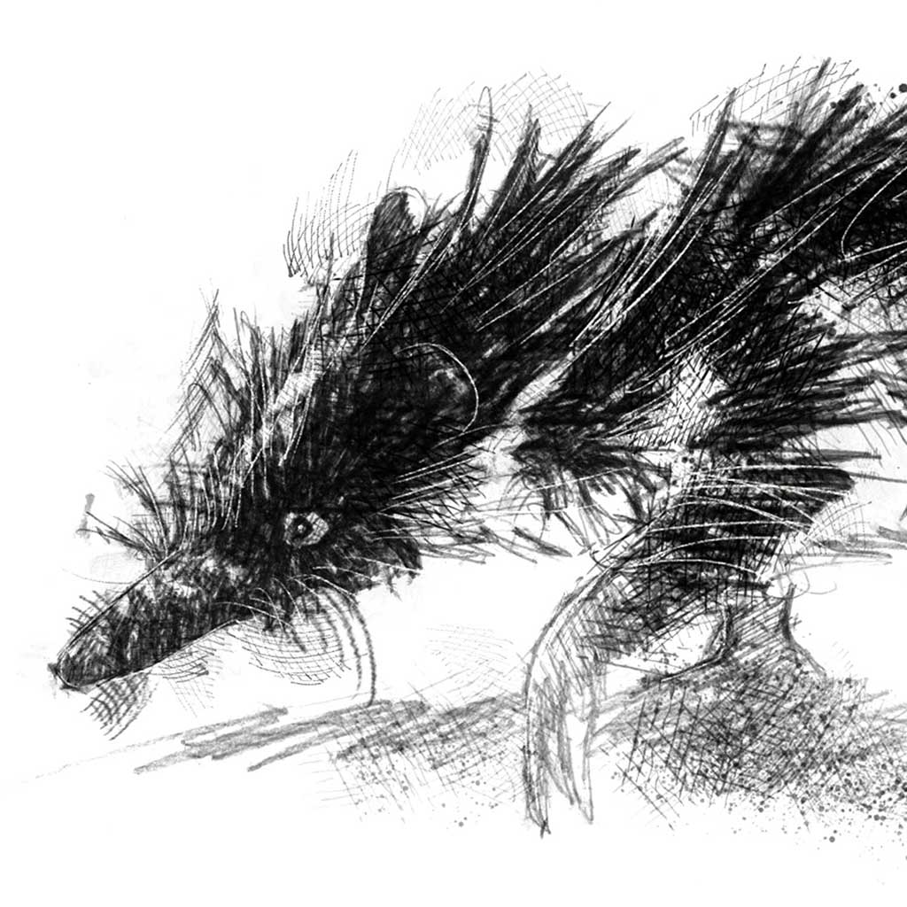 Original Tenrec sketch | SeanBriggs