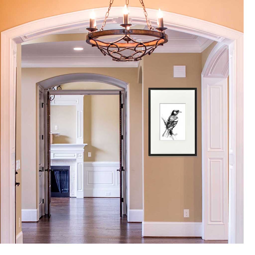 Original Finch sketch | SeanBriggs