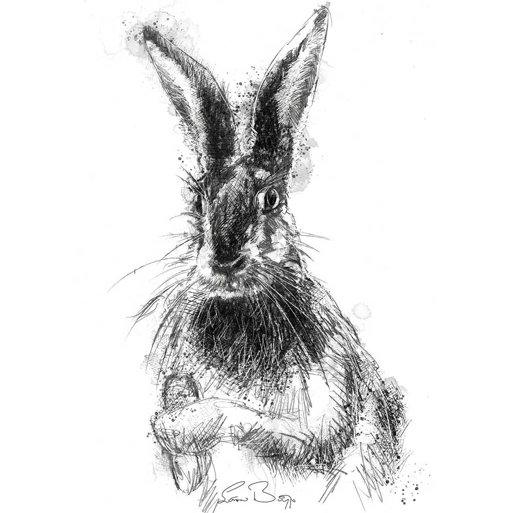 Original Brown hare sketch | SeanBriggs