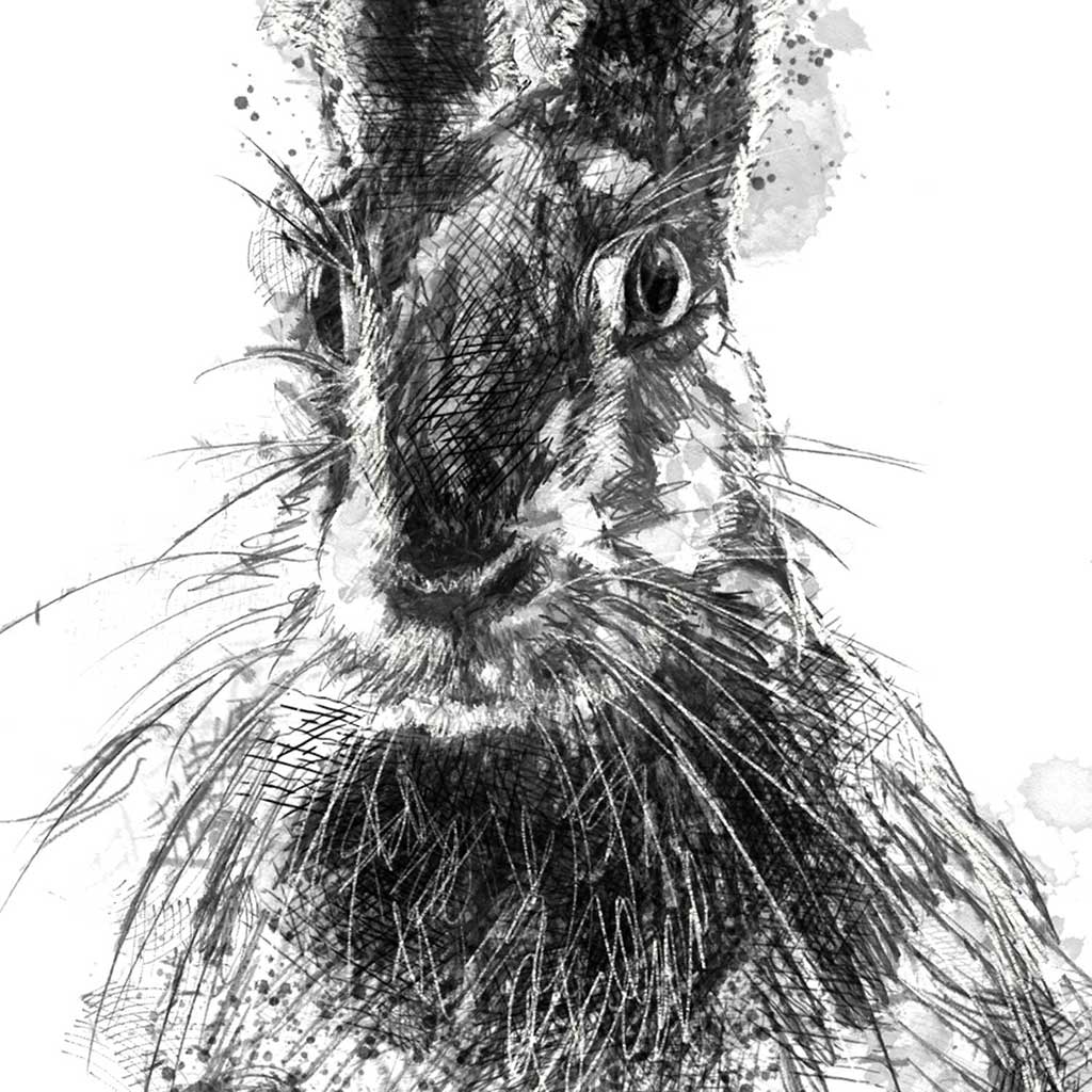 Original Brown hare sketch | SeanBriggs