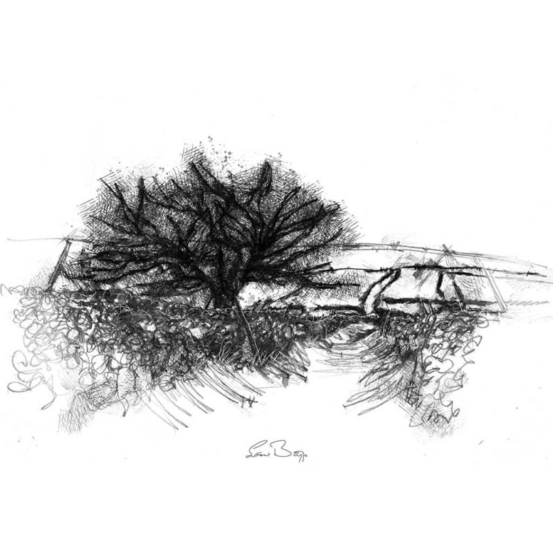 Original Country lane sketch | SeanBriggs