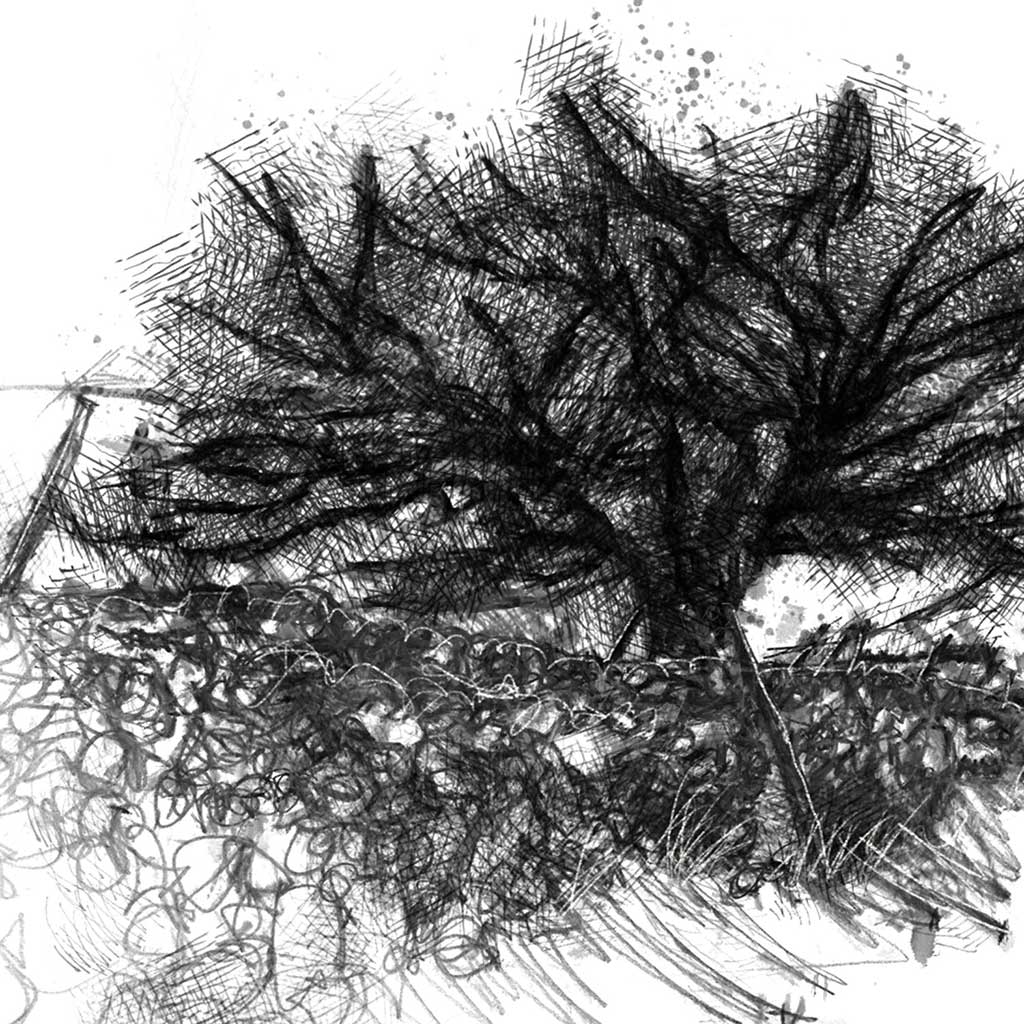 Original Country lane sketch | SeanBriggs