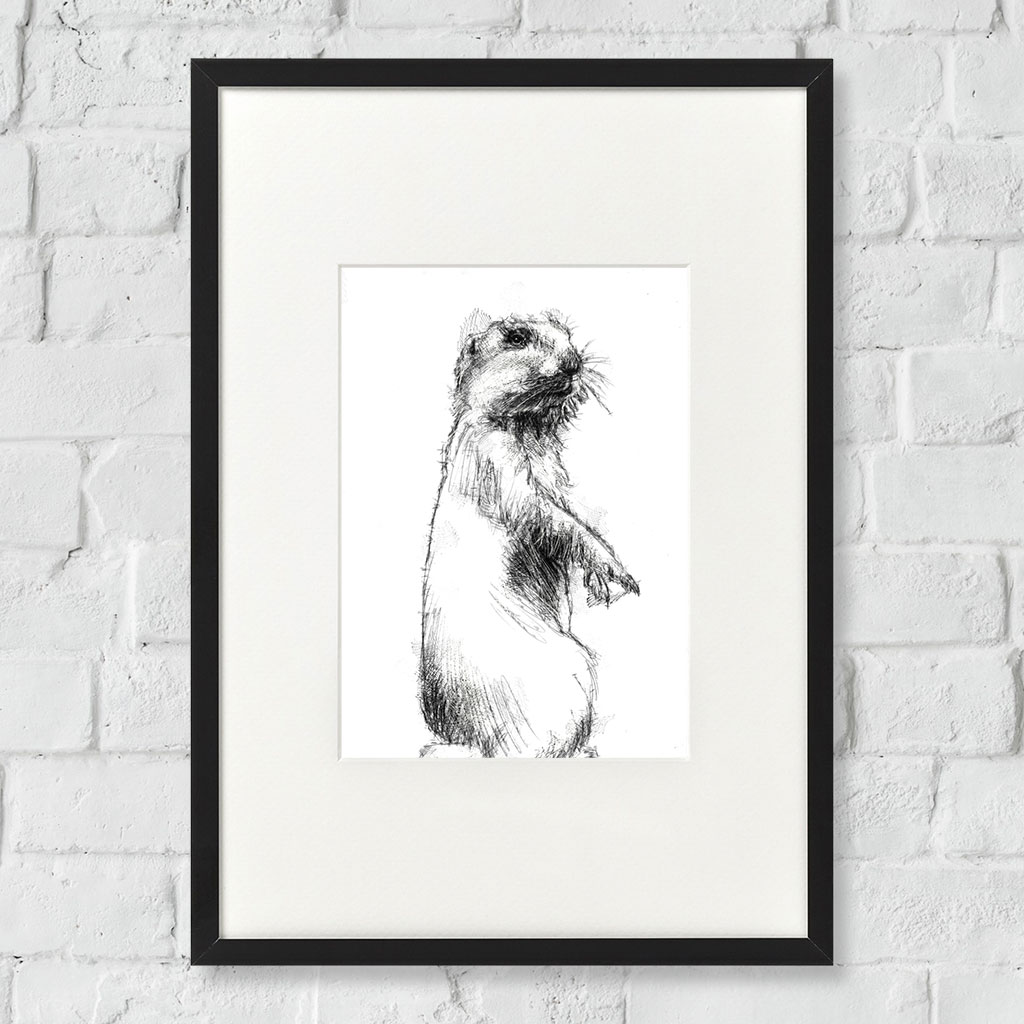 Original Prairie dog sketch | SeanBriggs