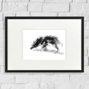 Original Tenrec sketch | SeanBriggs