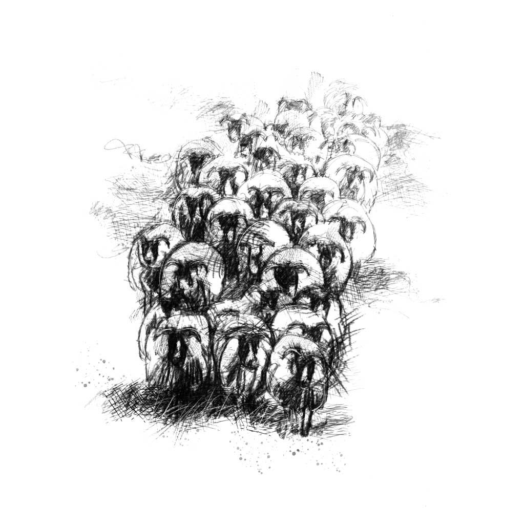 Original Sheep flock sketch | SeanBriggs