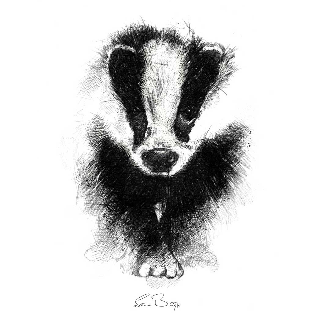 Original British badger sketch | SeanBriggs