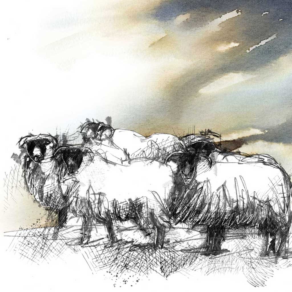 Original Flock of sheep sketch | SeanBriggs