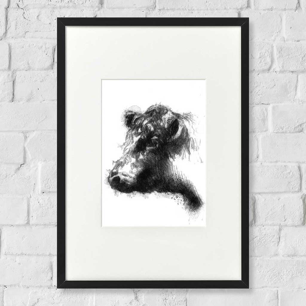 Original Belted galloway sketch | SeanBriggs