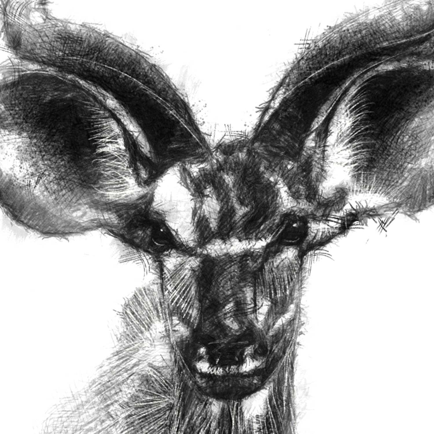 Original Kudu sketch | SeanBriggs