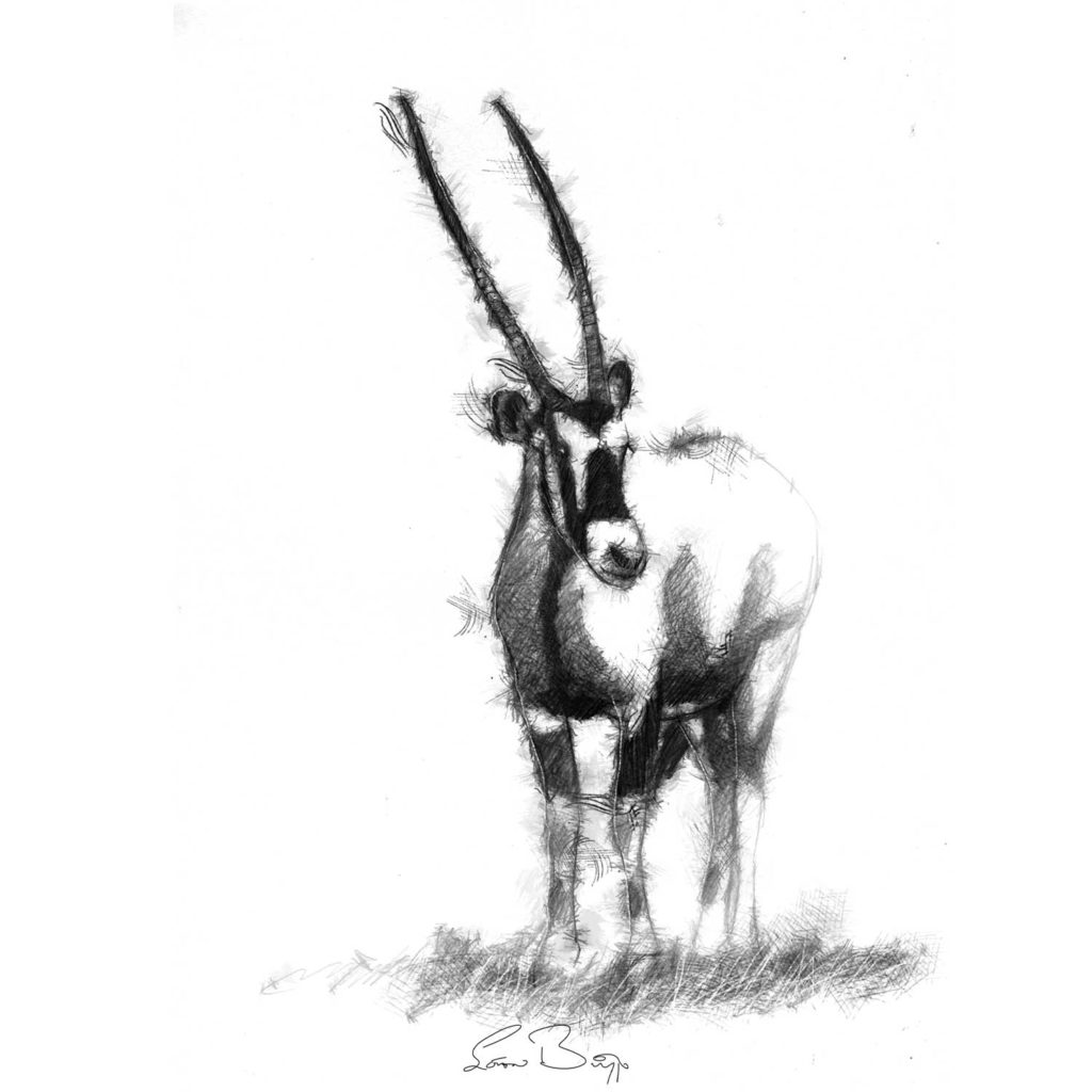 Original Oryx sketch | SeanBriggs