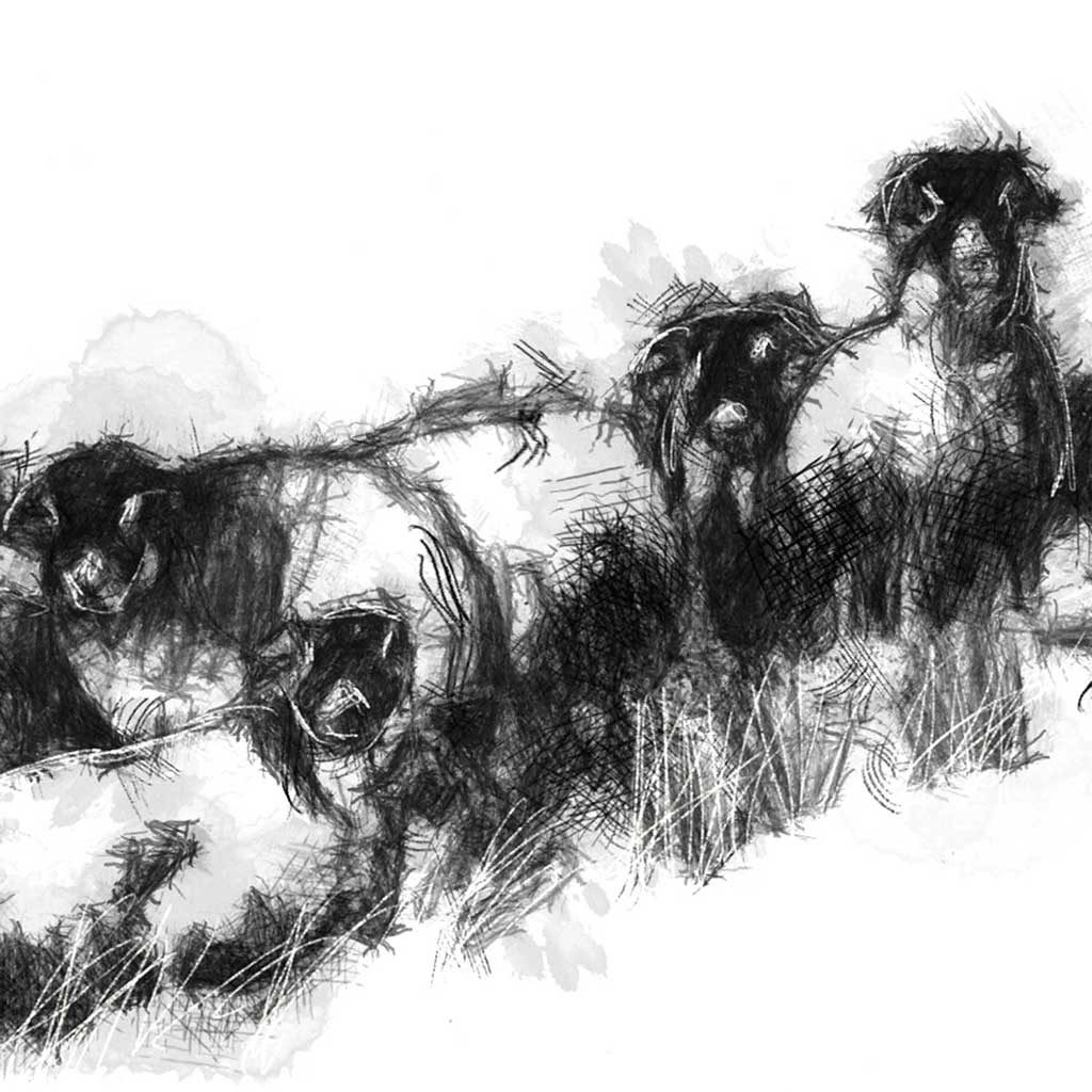 Original Flock sketch | SeanBriggs