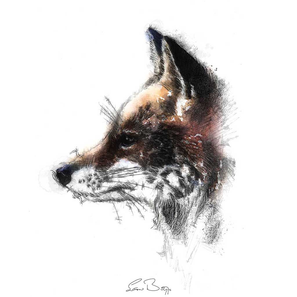Original Red fox sketch | SeanBriggs
