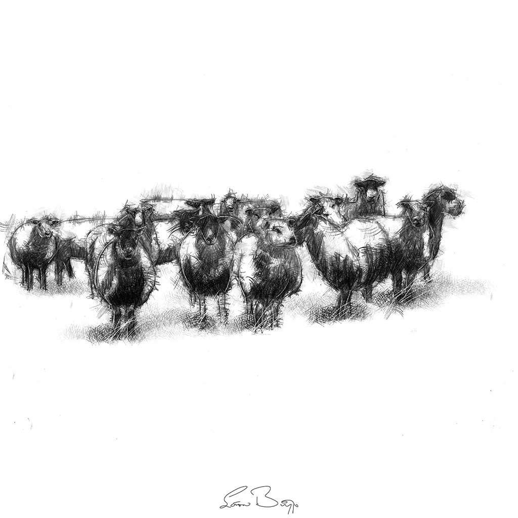 Original Sheep flock sketch | SeanBriggs