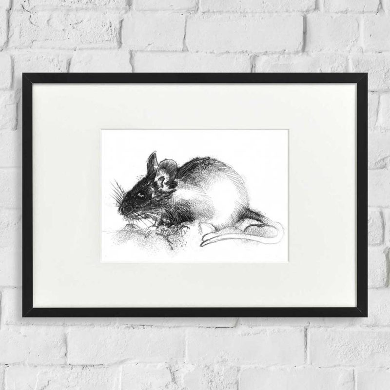 Original wood mouse sketch | SeanBriggs