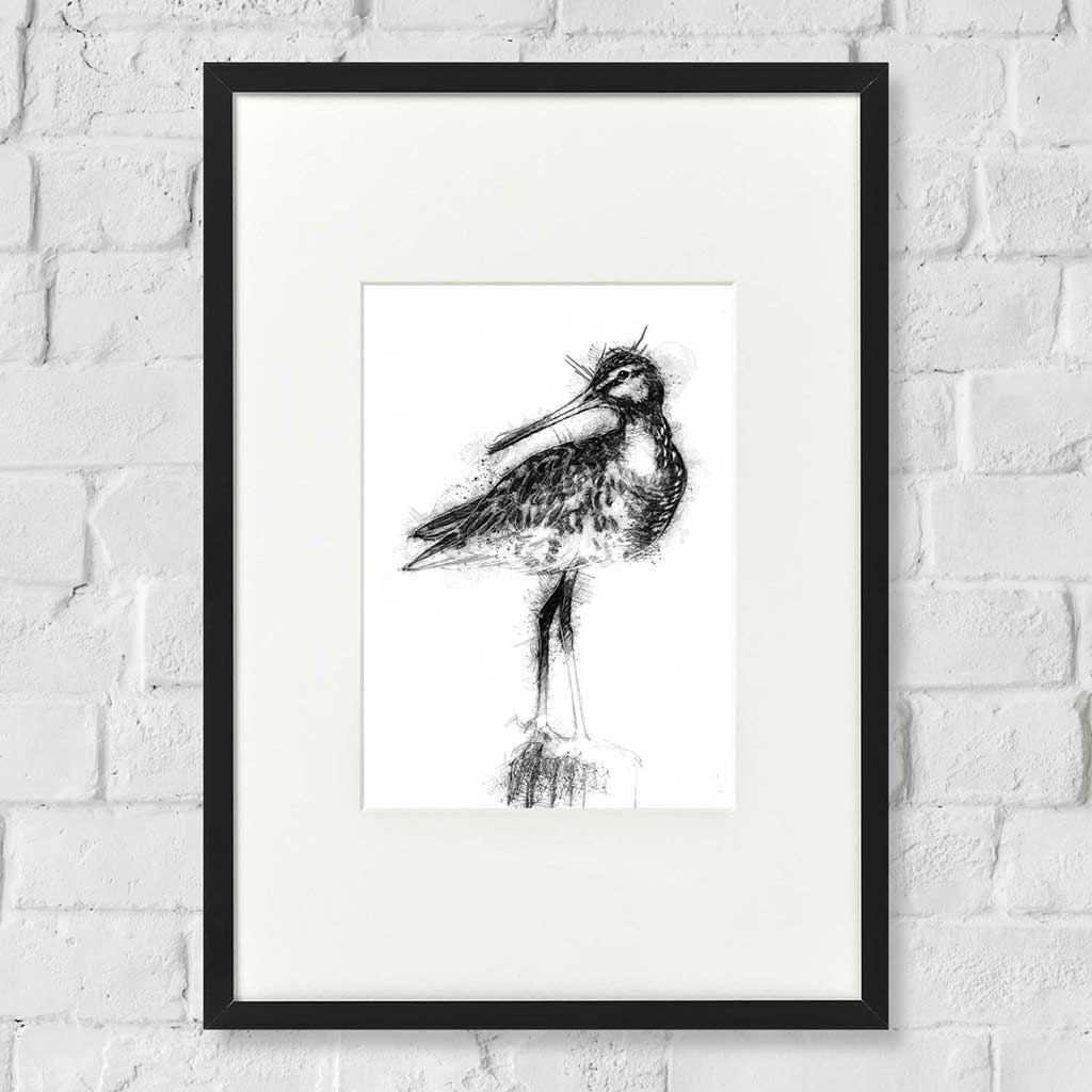 Original Godwit sketch | SeanBriggs